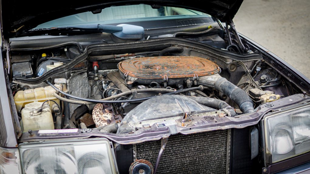 Project W124 – Car & Classic Buys a Benz | Car & Classic Magazine