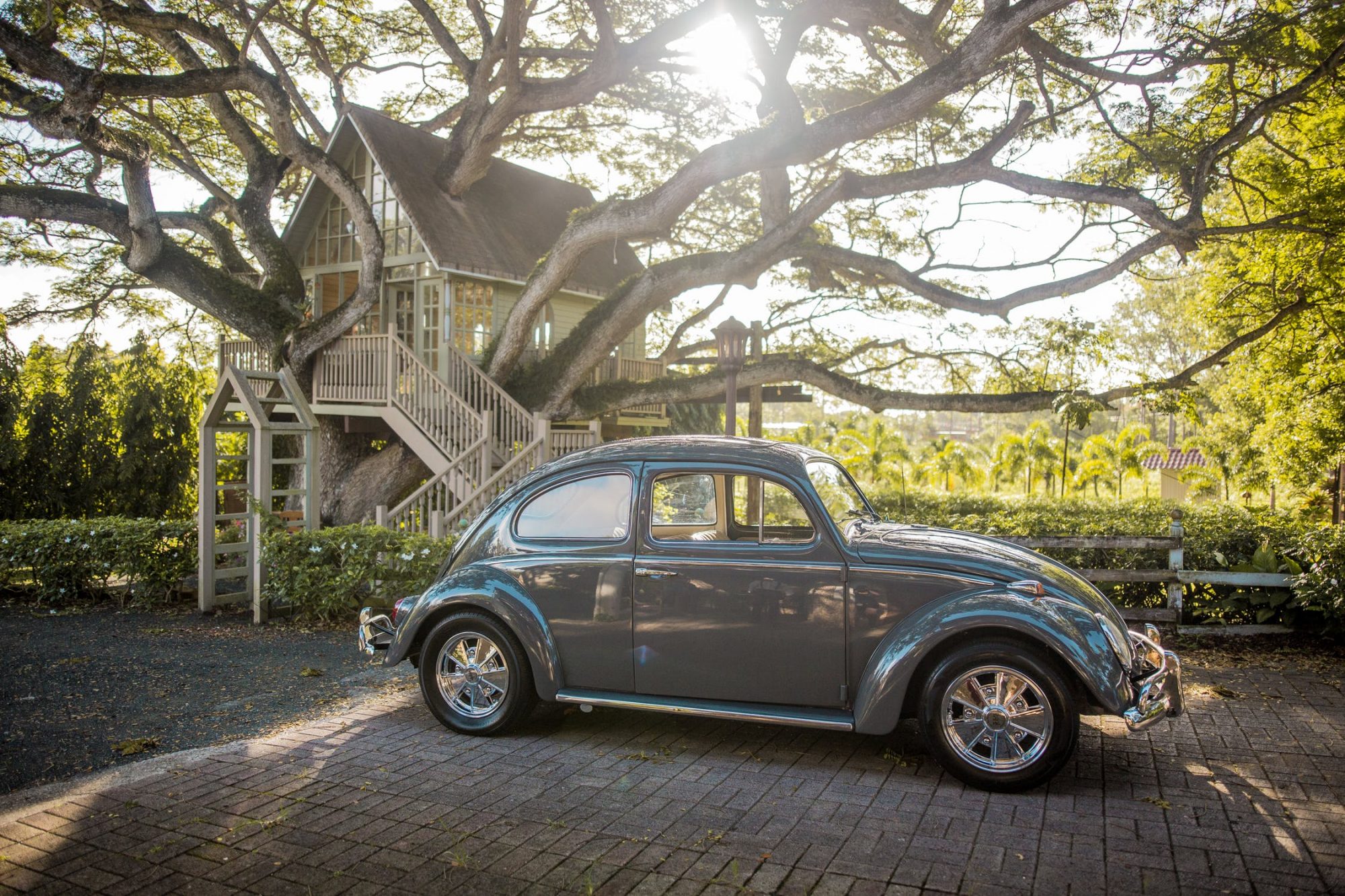 The Volkswagen Beetle – Five Things You Need to Know | Car & Classic ...