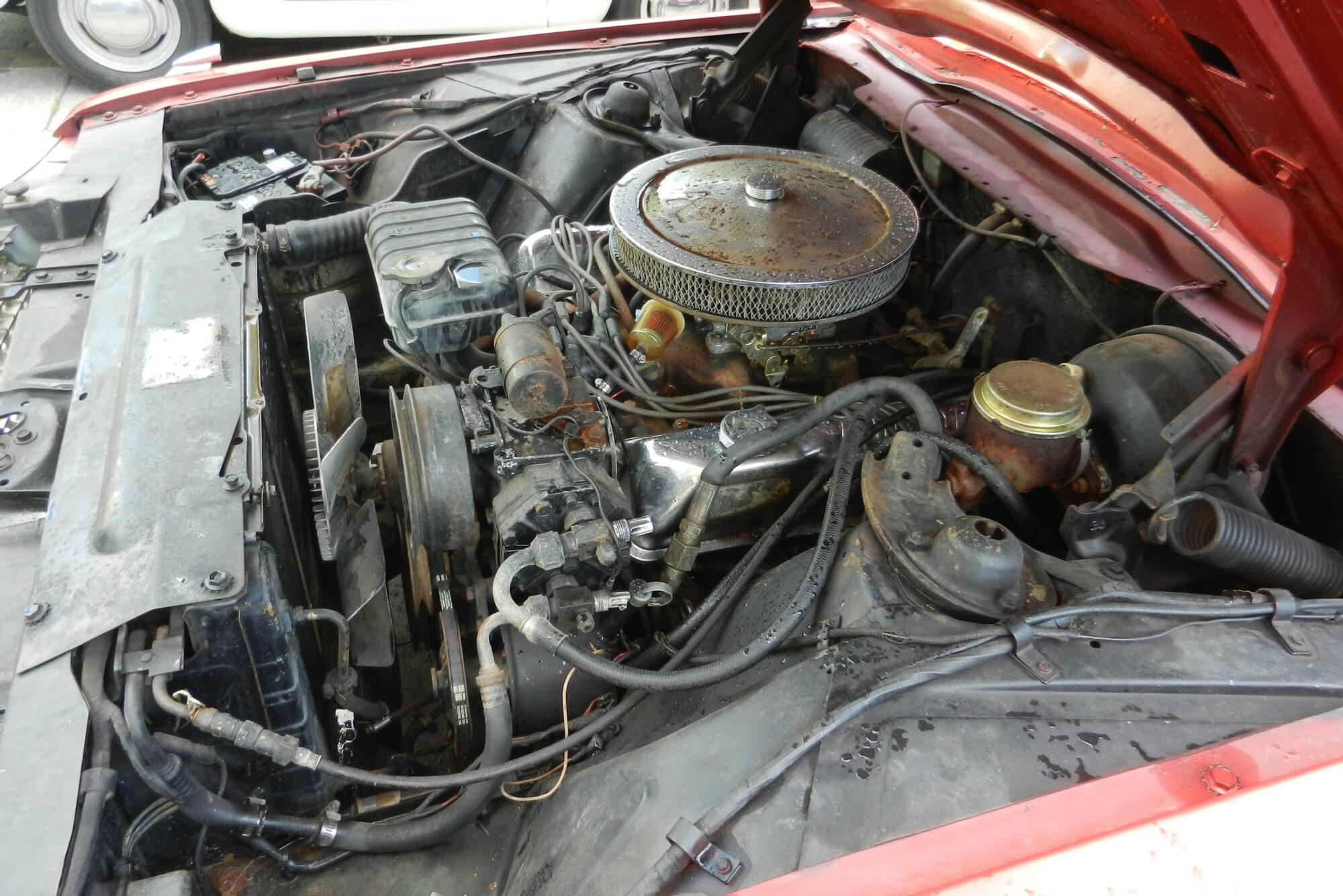 1966 Ford Thunderbird – Project Profile | Car & Classic Magazine