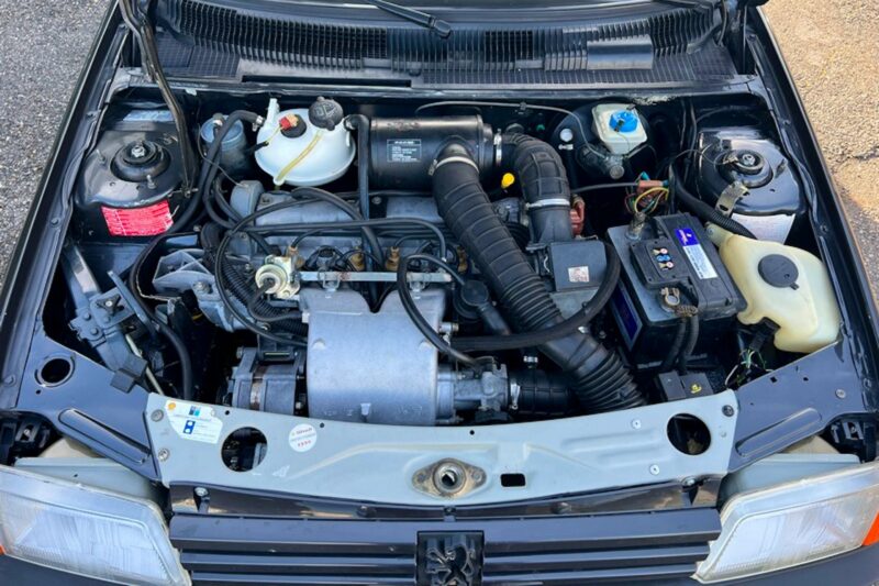 Peugeot 205 – Plucky Pug Turns 40 | Car & Classic Magazine