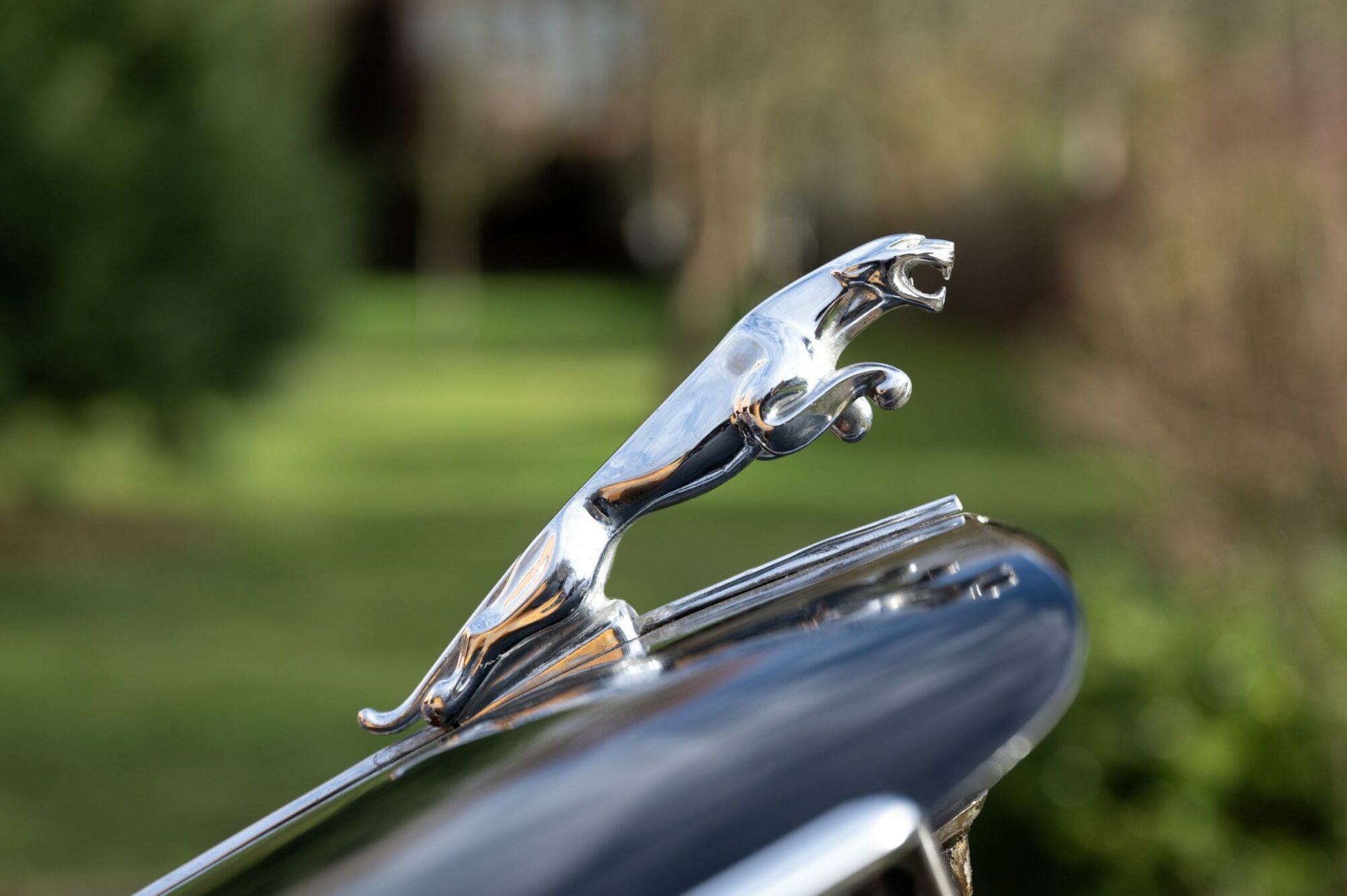 1956 Jaguar Mk1 – Project Profile | Car & Classic Magazine
